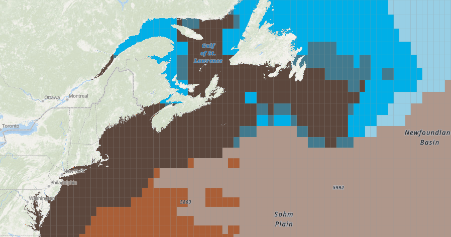 Portfolio | Shanley Camara